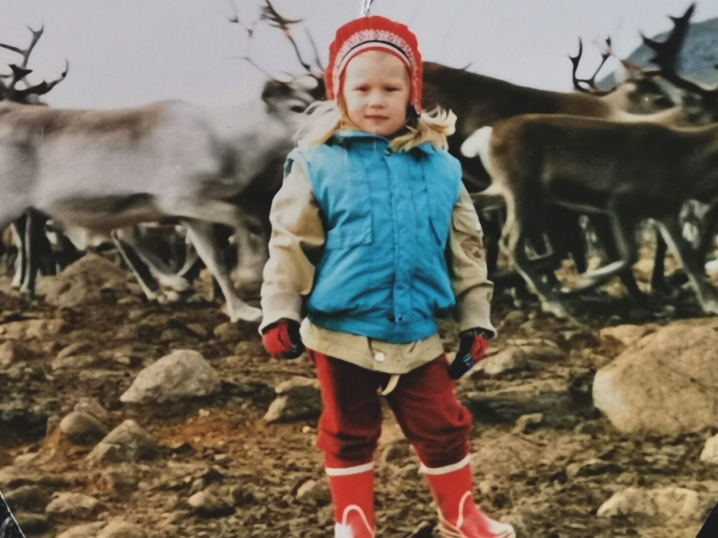 THE VOICE: Anna Kuhmunen on how Europe is failing its only Indigenous ...